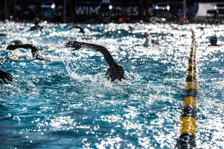 Rose- Hulman's Hong and Martin Named CCIW Swimmers of the Year