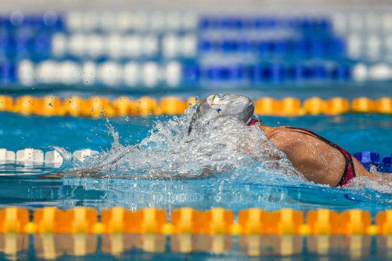 Matt Whittle Bio - SwimSwam