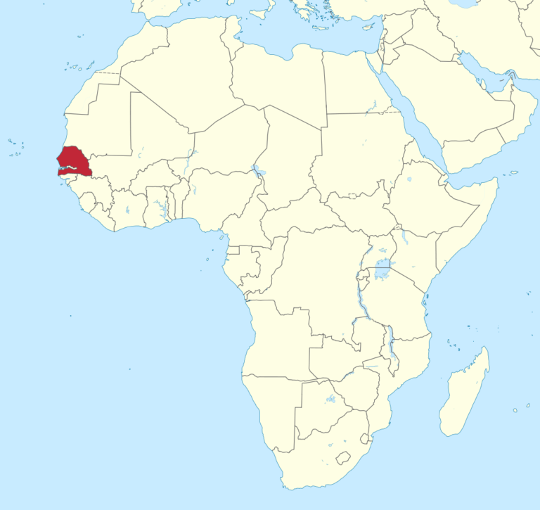 Two-Time Senegalese Olympic Swimmer Mohamed Diop Elected President of ...