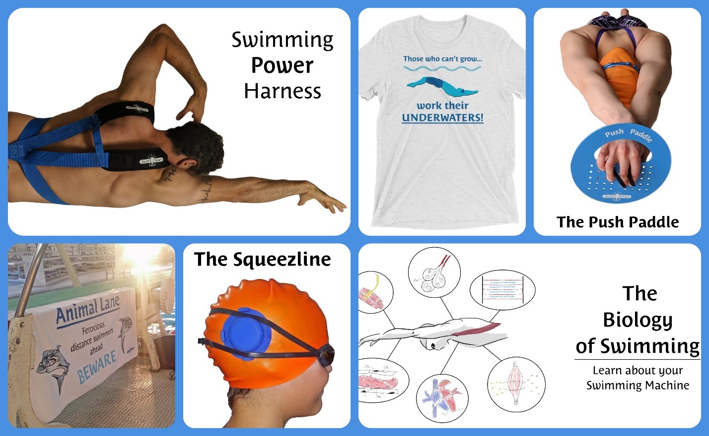 Biology of Swimming: Everything You Need to Know About the Swimming Machine