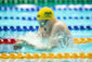 2019 Swammy Awards: Oceanian Male Swimmer of the Year Matthew Wilson