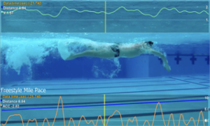 Freestyle Pulling Cycle: The Propulsion Phase