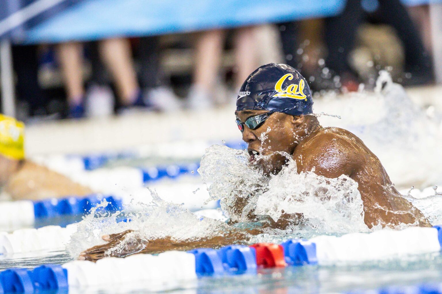 2022 FINA World Cup - Berlin: Day 3 Prelims Live Recap