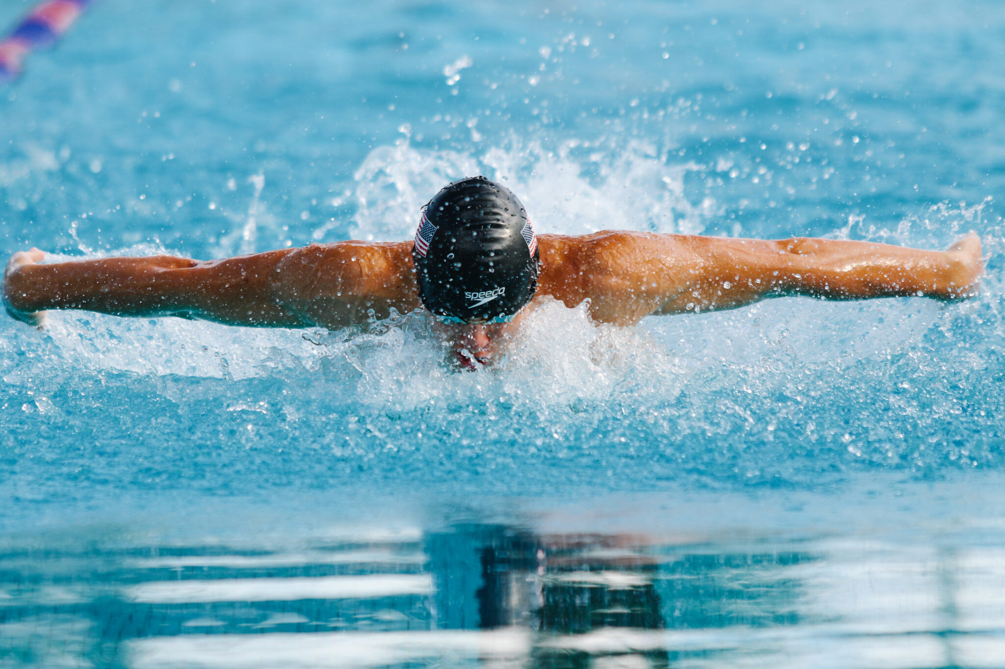 Maximus Williamson Bio SwimSwam Maximus Williamson Bio SwimSwam