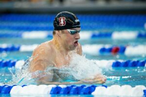 Ron Polonsky Describes Taking the Fall Off From Stanford, Training for ...