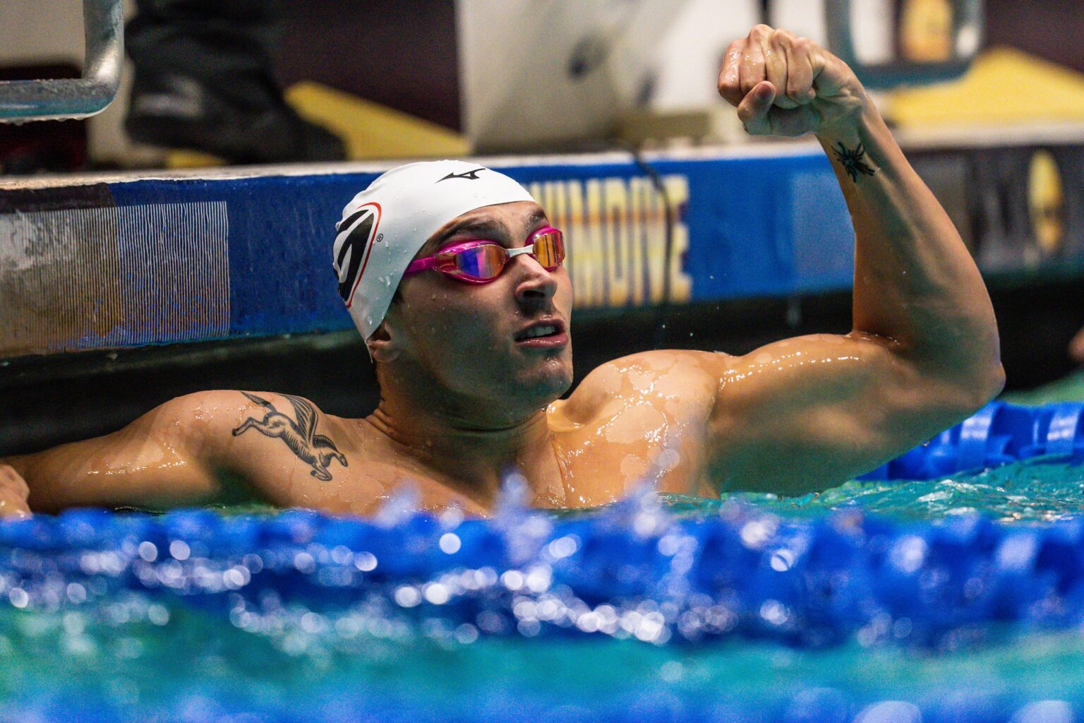 Georgia's Luca Urlando Opts for 100 Fly, 200 Fly, 100 Back Lineup for ...