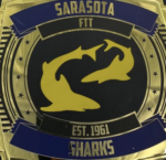 Hardy, Hughes Shine As Sarasota Sharks Dominate Florida Spring Age ...