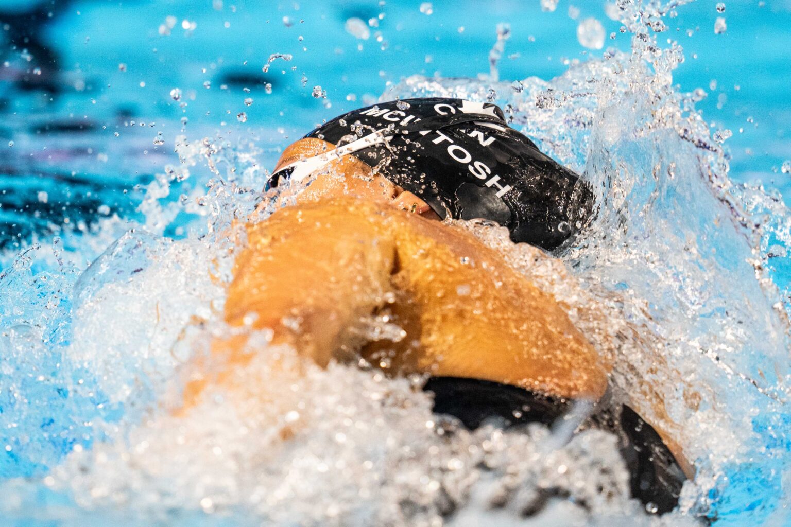 SwimSwam Awards: 2025 World Championships (Women's Edition)