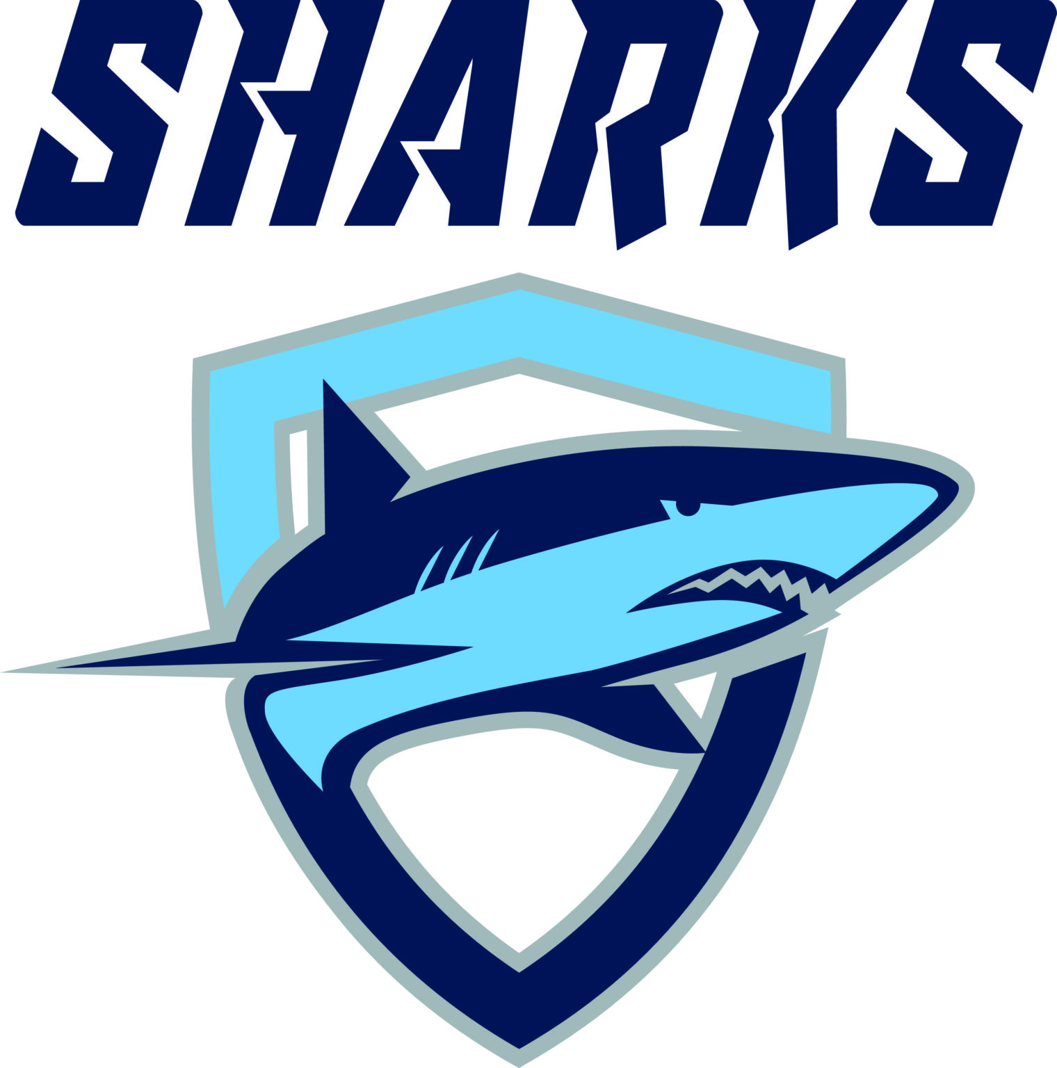 Director of Development - Sharks Swim Club Job